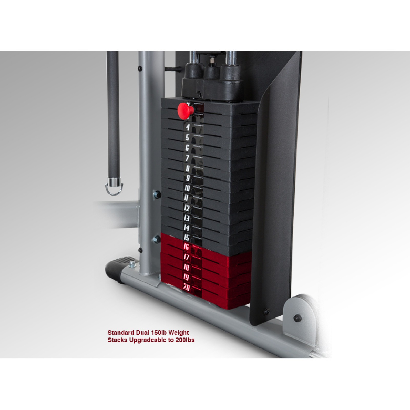 BodyCraft 2 x 50lbs Stack Upgrade for the F438 RFT Functional Trainer ...