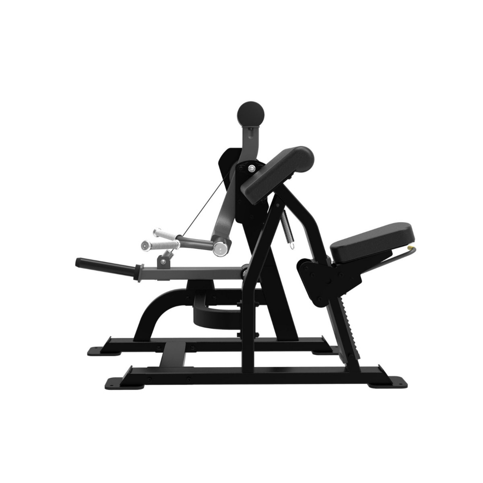 Taurus Elite Iso Bicep Curl Machine - Shop Online - Fitshop