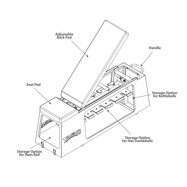Taurus Elite HIIT Studio Bench - Shop Online - Fitshop